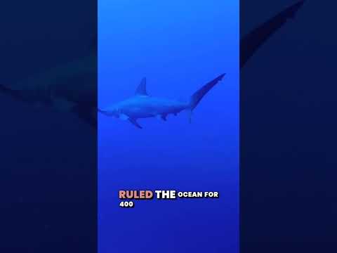 deep sea learning