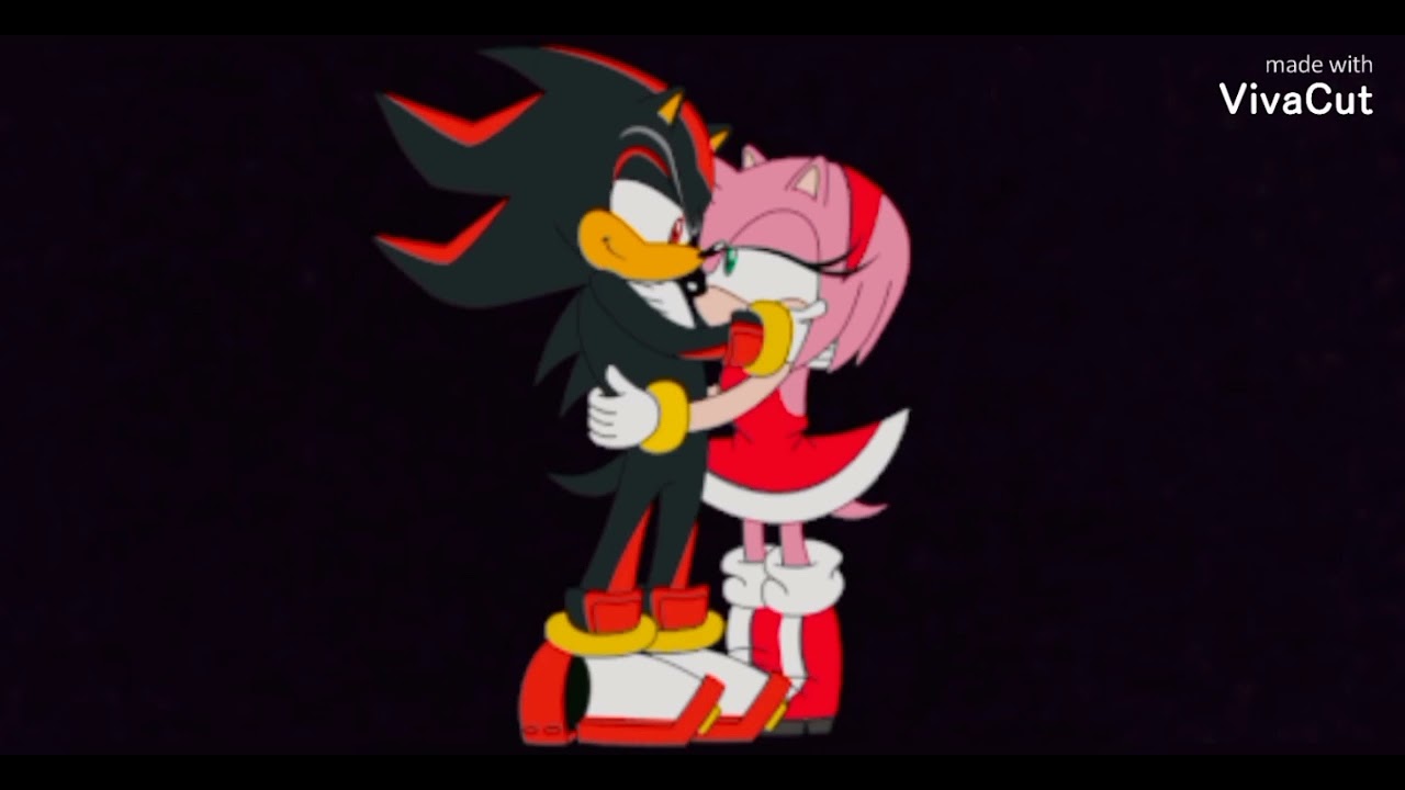 shadow x amy rose new gif meme and love ❤❤
