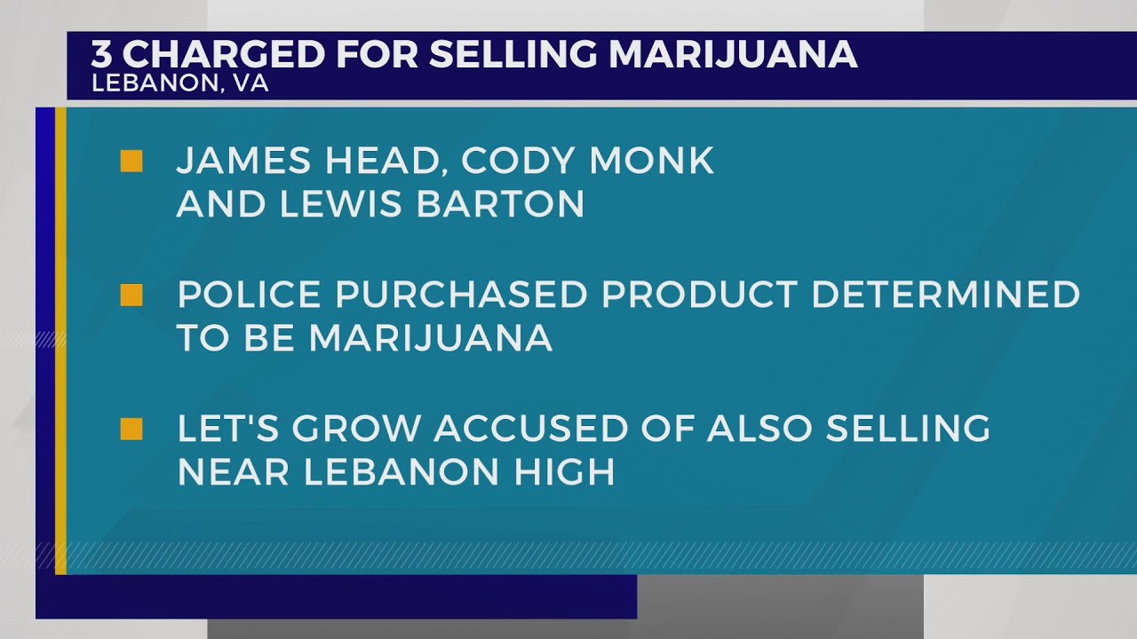 3 arrested for marijuana distribution following search warrant at Lebanon business 'Let's Grow'