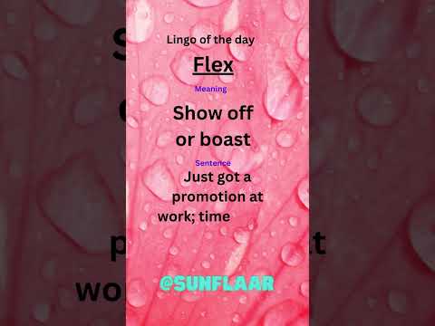 #FLEX #Meaning #Lingo