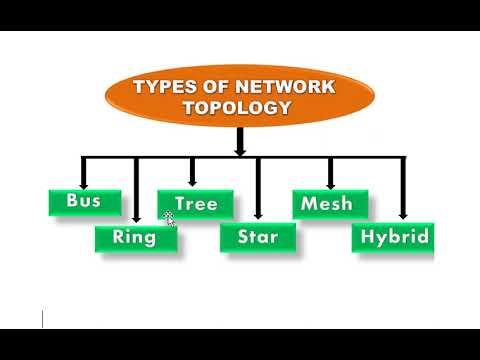 Bus Topology in Details and its Advantages and Disadvantages