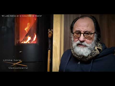 El lobo y el buitre en la Comunidad de Madrid