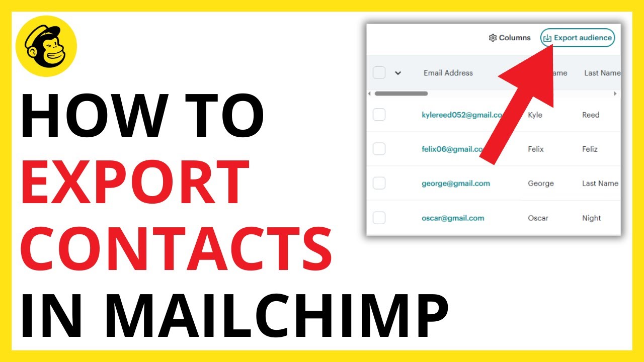 How to Export Contacts in Mailchimp [QUICK GUIDE]