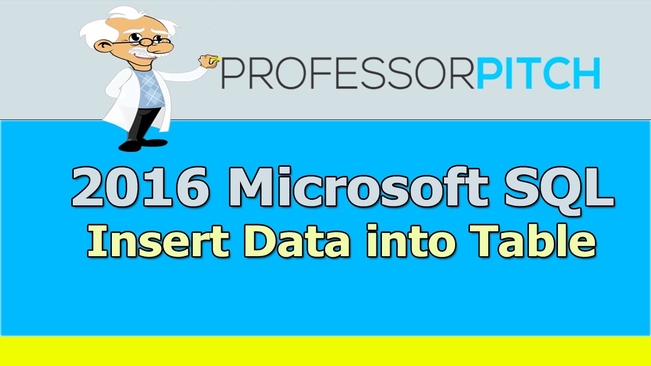 SQL Studio: SQL Insert Data Into Table [Beginners]
