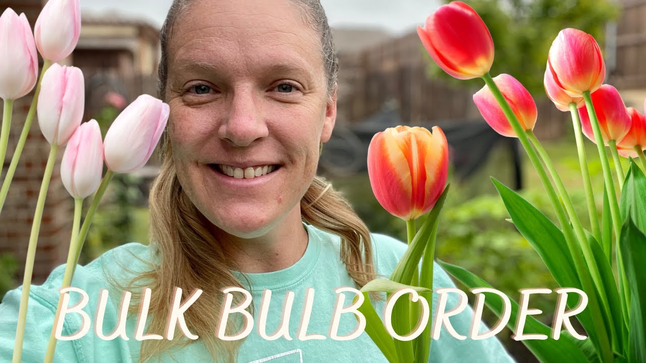Fall Bulb Order From COLORBLENDS 🌷🌷🌷 || Tulips, Daffodils, Allium, Hyacinth, & Muscari Bulbs