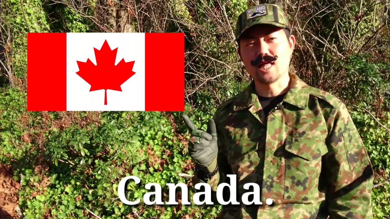 How Japanese army camouflage pattern works in Canada.