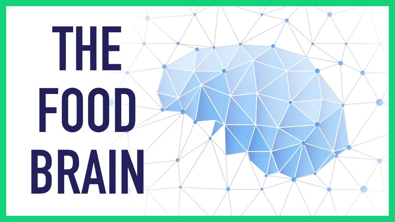 The Food Brain