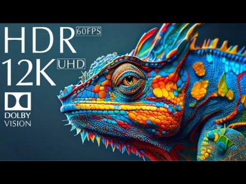 Amazon rainforest Nature and Wildlife | Amazon rainforest | Animals of Amazon