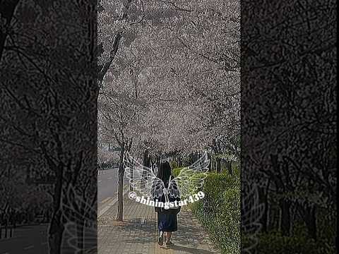 some Japanese words you can use #music #japanese #aesthetic #viral #trending