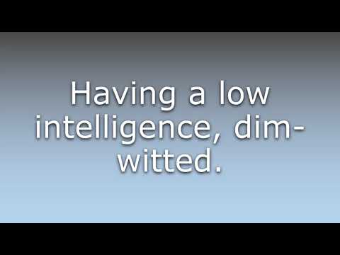 What does Half-witted mean?