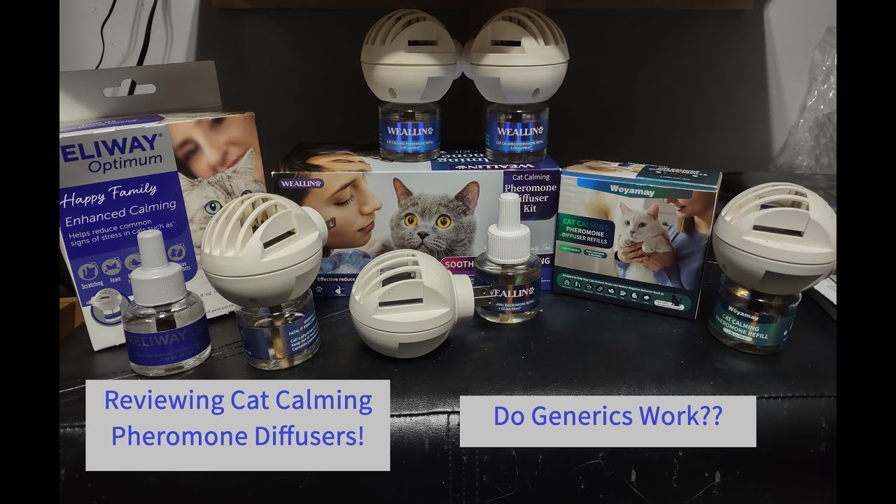 Feliway Cat Calming Pheromone Diffusers!  Do Generics Work?