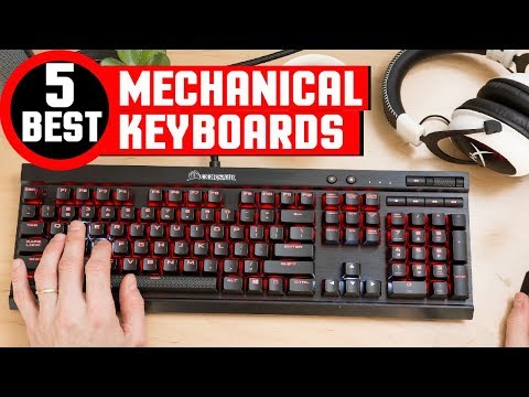 Keyboard: Best Cheap Mechanical Keyboard Reviews 2024 | Redragon K552 KUMARA keyboard Buying Guide