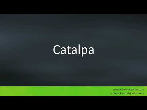 How to pronounce "Catalpa".