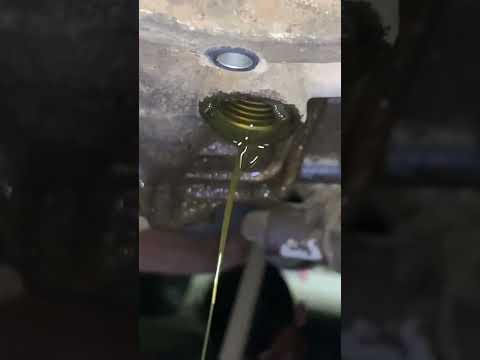Gear Oil Change