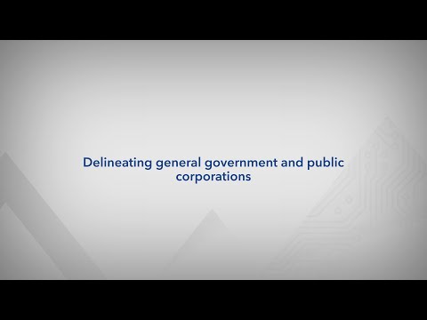 Delineating the public sector into general government and public corporations subsectors