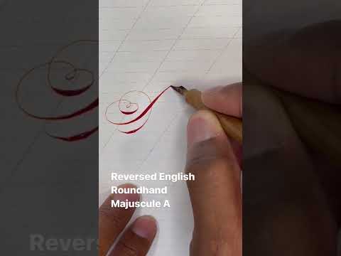 Flourished Letter A (Reversed English Roundhand Calligraphy) by Paul Antonio