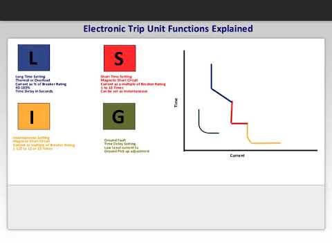 LSIG Trip Unit