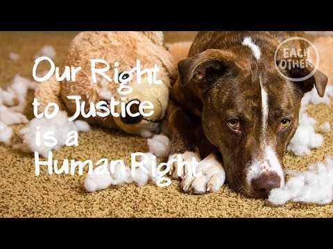 What is a fair trial?