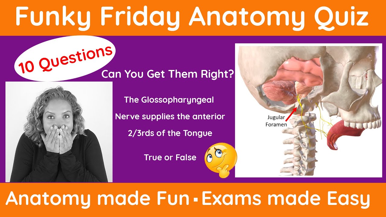Got 10 mins spare? Try this Anatomy Quiz! 😘
