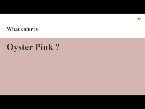 Oyster Pink color #d4b5b0 hex color - Red color - Cool color d4b5b0