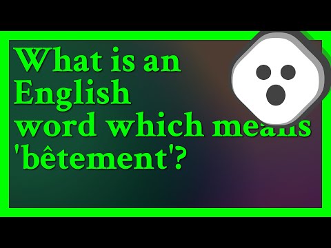 The standard translations of bêtement are words like stupidly, idiotically, insanely or thoughtle...