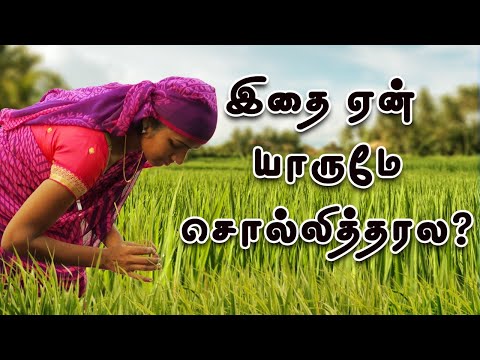 How to identify Nanjai & Punjai land? | நஞ்சை நிலம் புஞ்சை நிலம் பயன்கள் பற்றி அறிந்து கொள்வோம்!