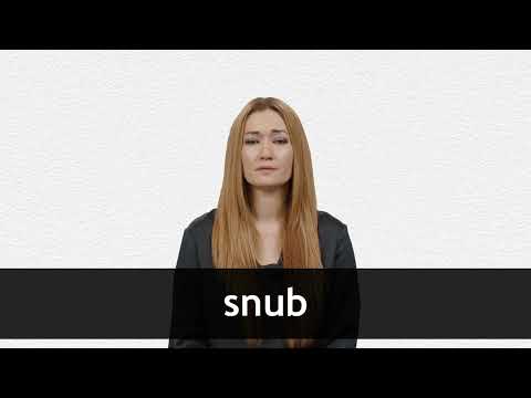 SNUB definition and meaning | Collins English Dictionary