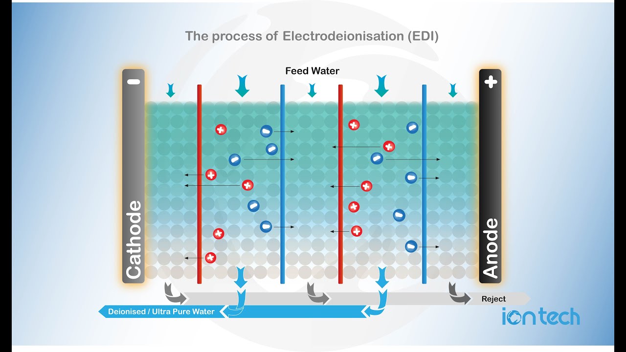 The process of Electro Deionisation EDI   Iontech   Animated