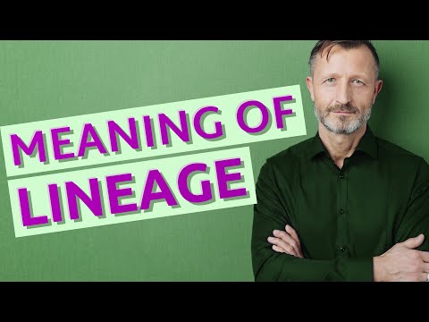 Lineage | Definition of lineage 📖