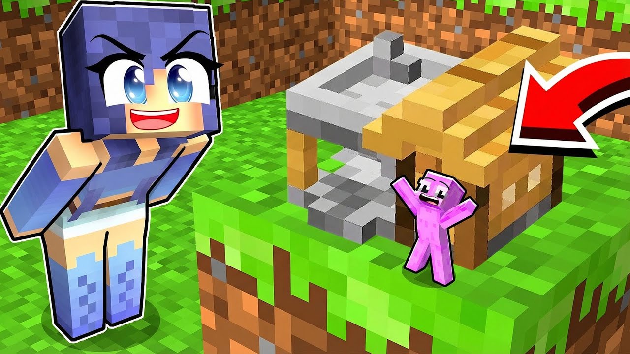 Whoever Builds The Smallest House In Minecraft Wins