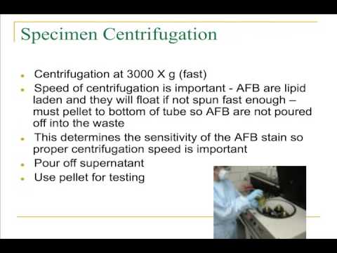 Mycobacteriology