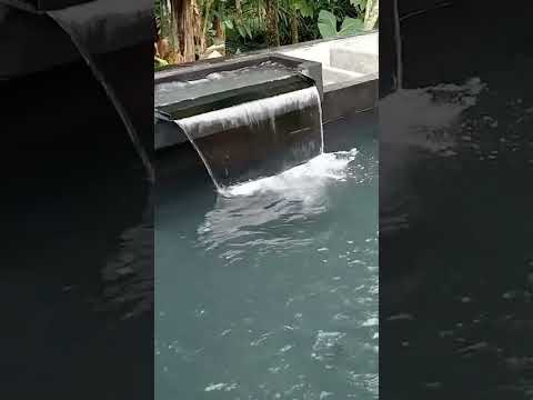 waterfall kolam koi dengan pompa 16 rb lph. #kolamkoi #auliakoi #waterfall #pembuatankolamkoi