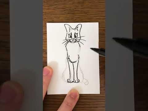 【CAT】Drawing Wild Cat cartoon style #Shorts