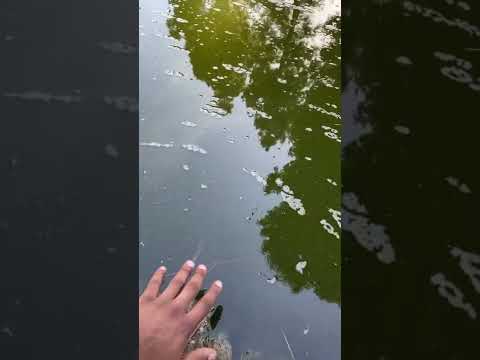 Hydrokinesis For Beginners 🌊