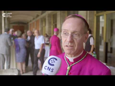 The meaning of the pallium