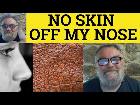 🔵No Skin Off My Nose Meaning - No Skin Off His Nose Defined - No Skin Off My Back Definition -Idioms