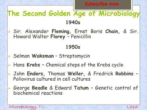 Summary of History of Microbiology At a Glance