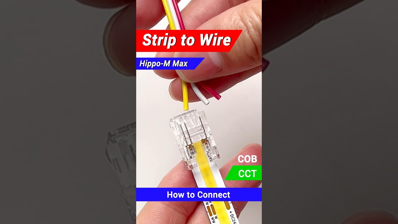 10MM 3 Pins Hippo-M MAX for COB CCT, LED strip connector MX/2045-X10C-3P