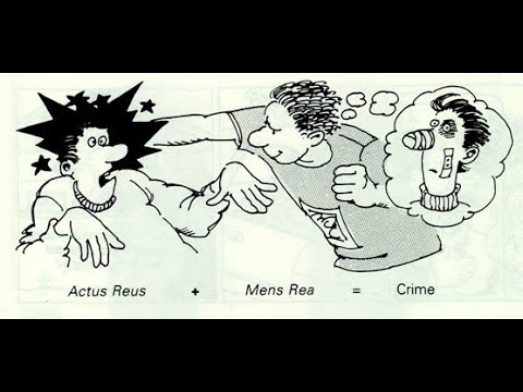 Revision: Actus Reus and Mens Rea activity
