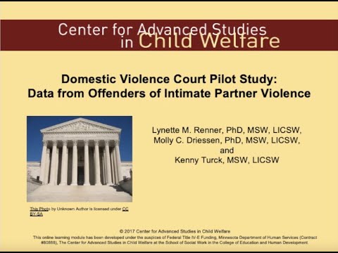 Domestic Violence Court (DVC): Data from Offenders of Intimate Partner Violence (2/2)
