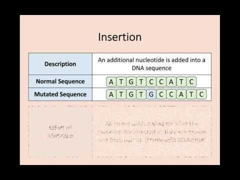 Higher Biology - 1.6 Mutations