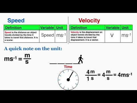Speed and Velocity - IB Physics