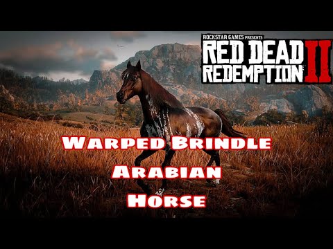 Rdr2 warped brindle arabian location