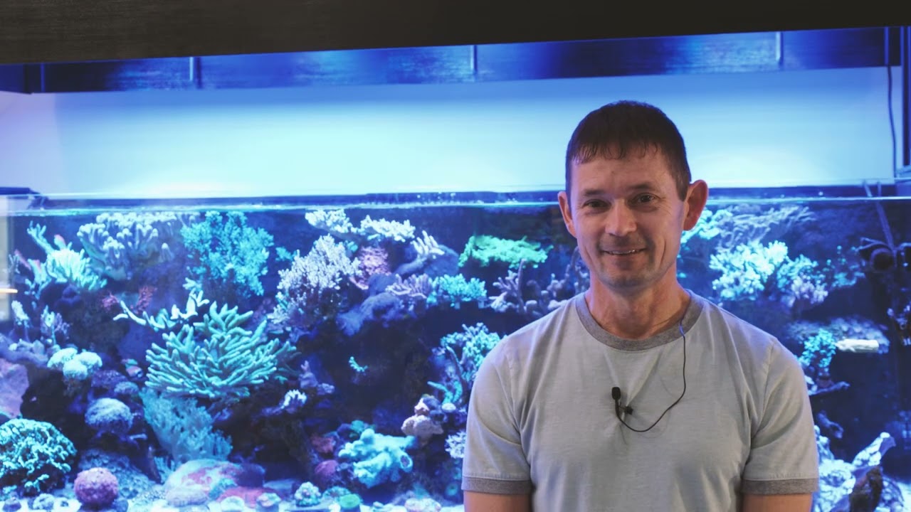 Chris Hebert Bayou Reefkeeping, February 2026, Tank of the Month