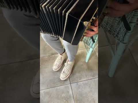 AA Alfred Arnold Bandoneon Tango Argentinian Keyboard 1930's | Reverb