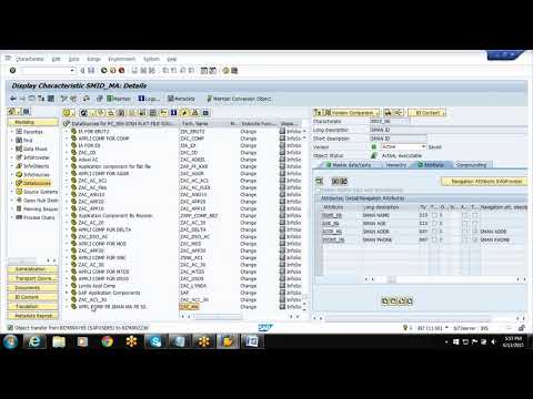 MASTER Data Loading For Automatic Data Source & INFO Object by INFO PROVIDER in SAP-BI/BW