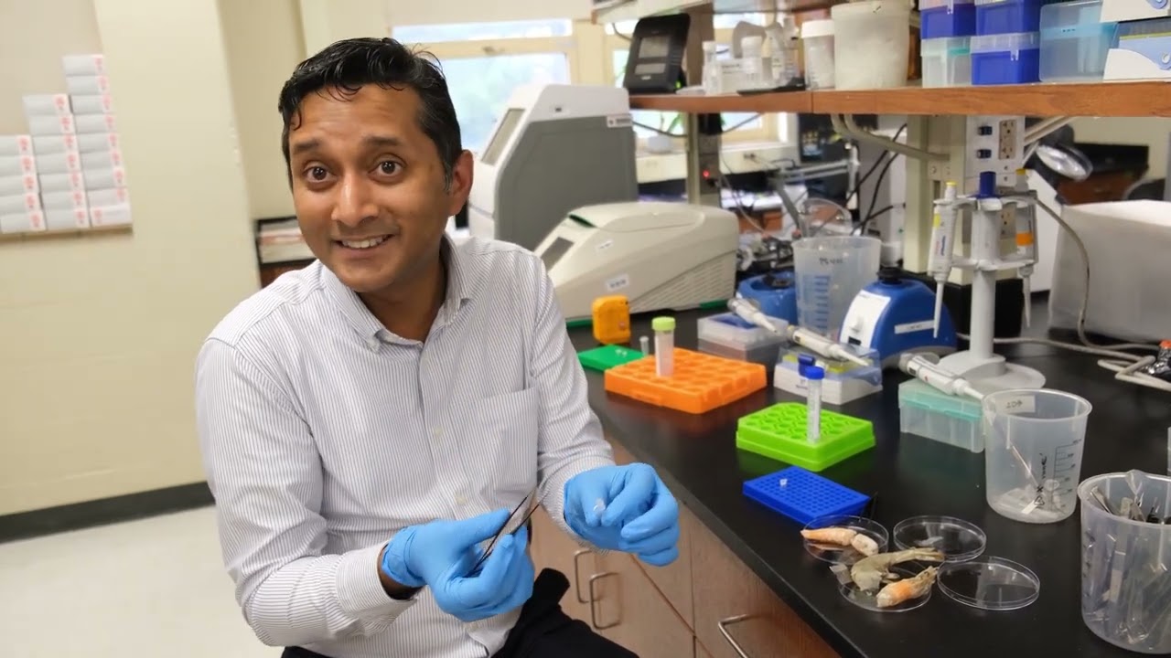 Samples to Results: How Our Testing Process Works