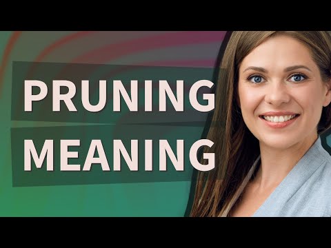 Pruning | meaning of Pruning