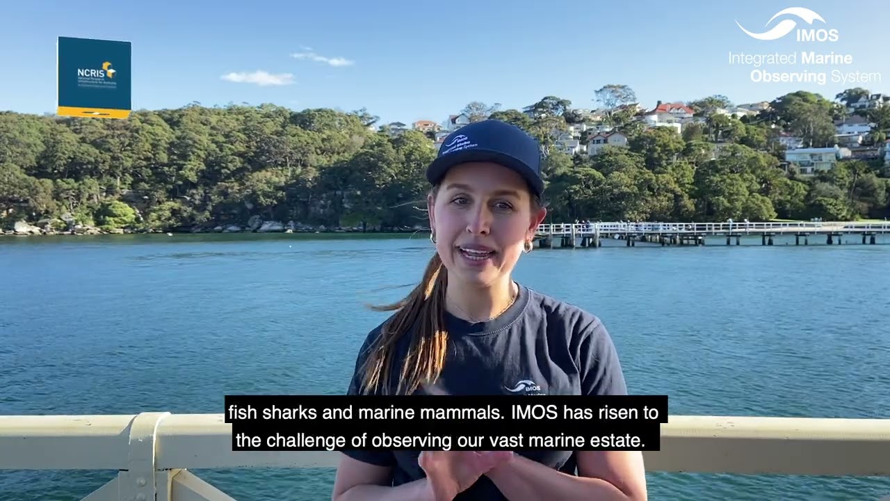 What is Australia's Integrated Marine Observing System (IMOS)?