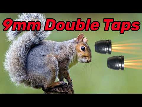 Double Tapping Squirrels with a 9mm... too much?